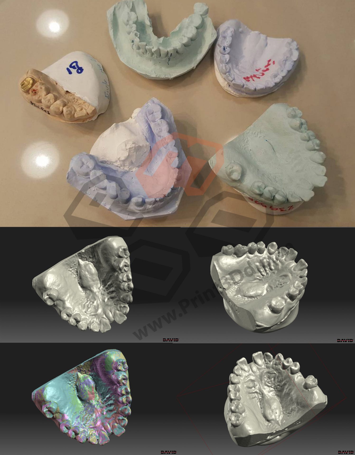 DAVID SLS-3 HD 3D SCANNER / HP 3D Structured Light Scanner Pro S3 | 3DD ...