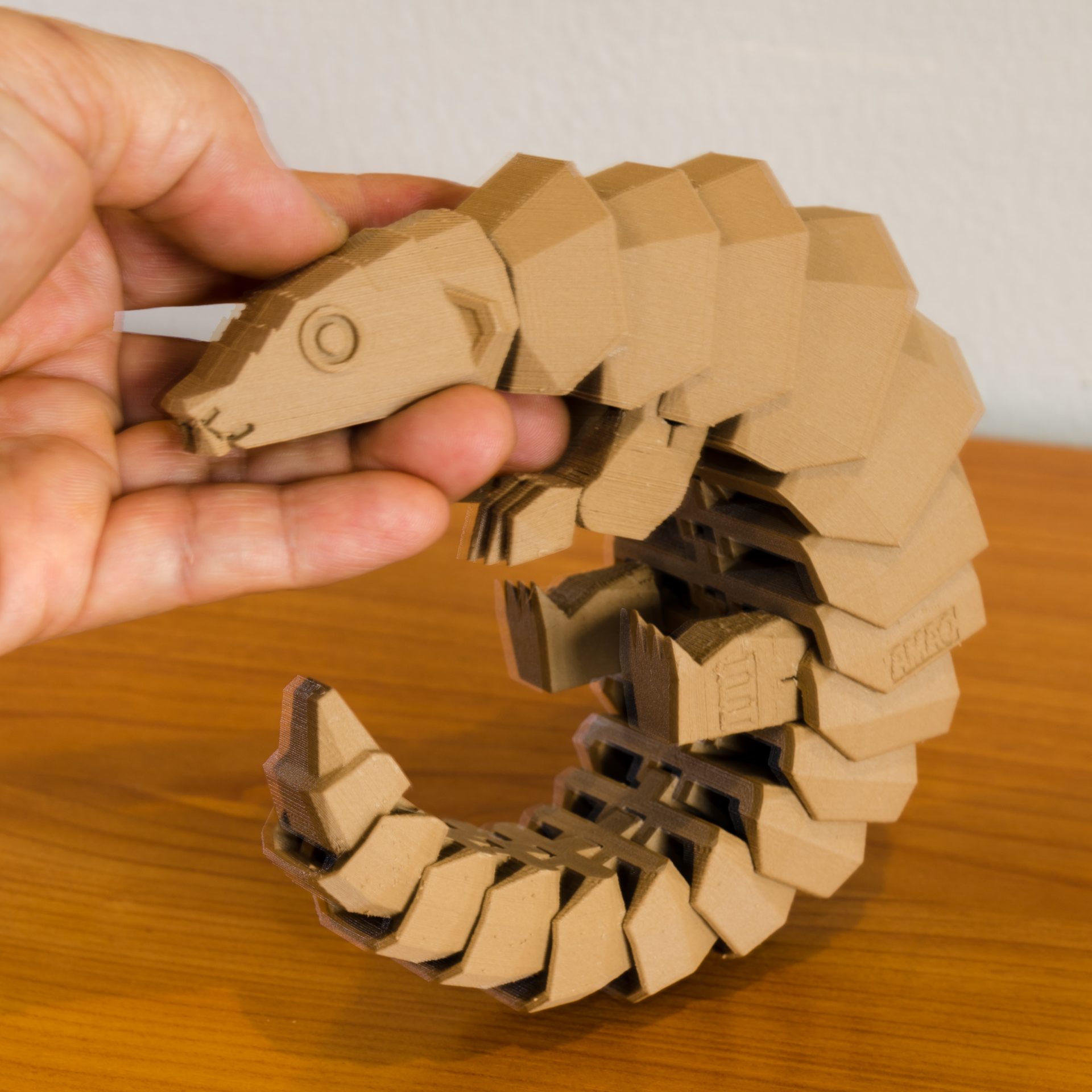 Save Pangolin ตัวนิ่มที่น่ารัก | 3DD Digital Fabrication เครื่องพิมพ์3 ...