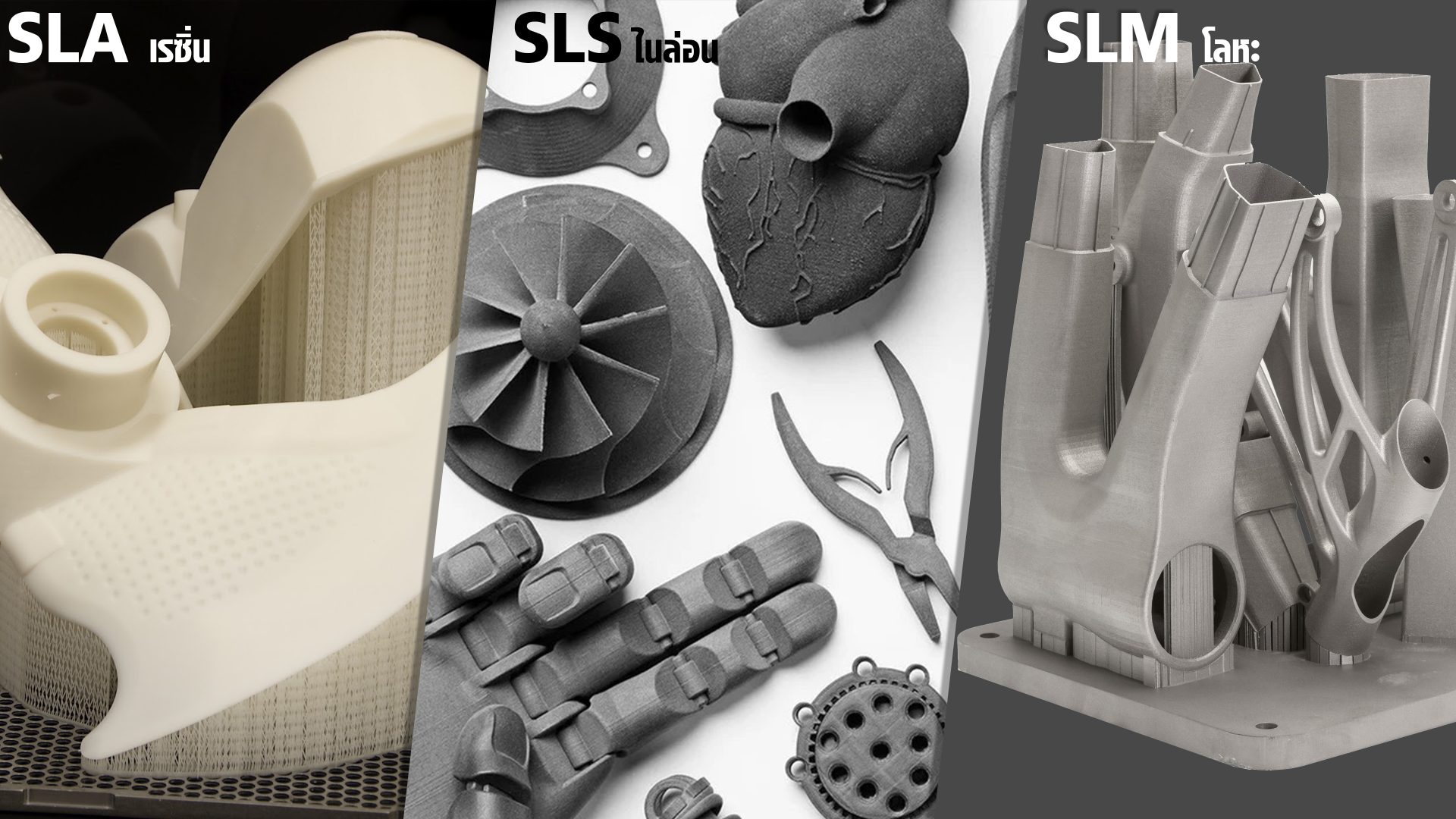 Professional SLA/ SLS/ SLM | Print3dd Thailand 3D Printer, 3D Scanner ...