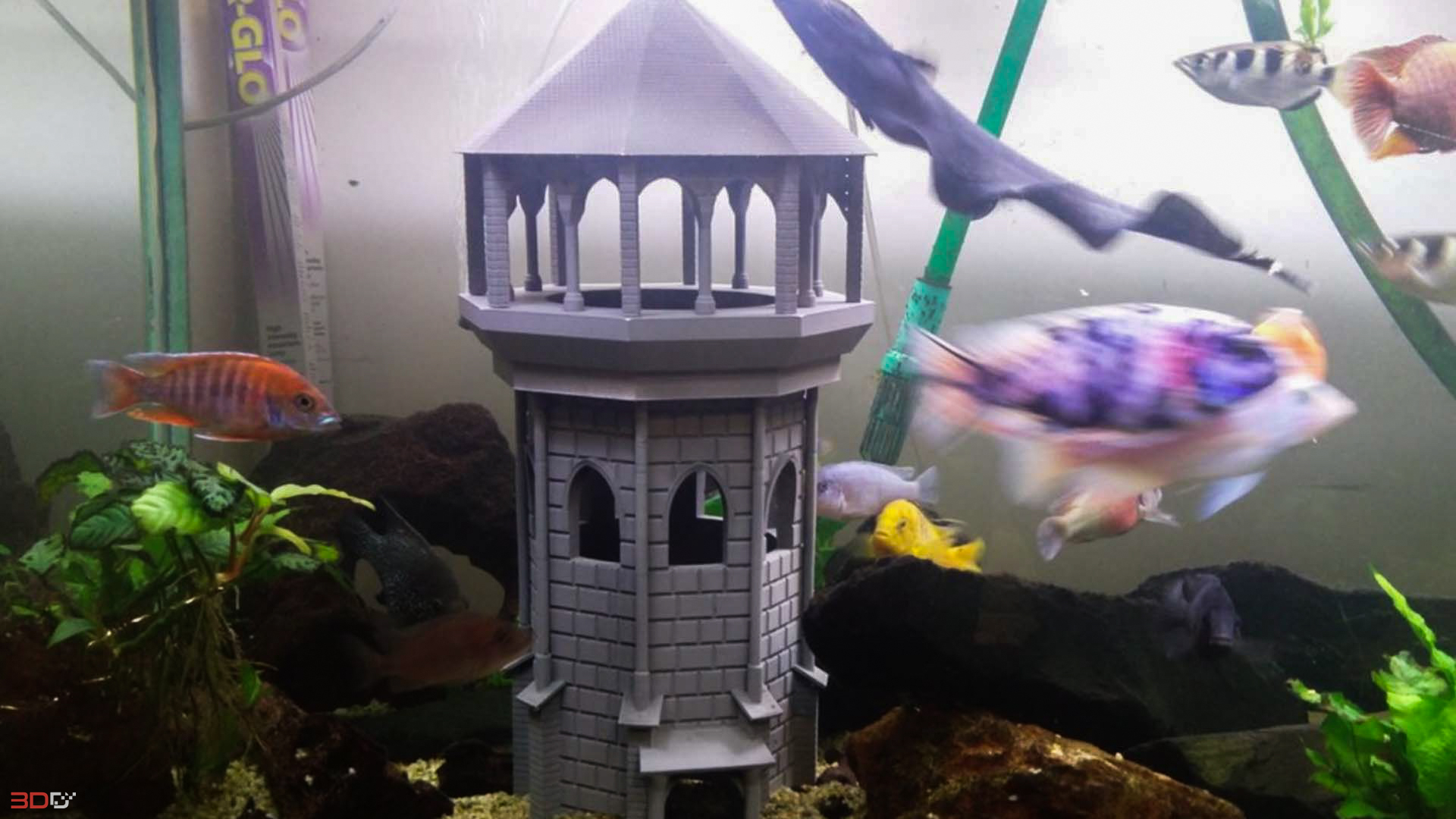 Share Idea ทำอุปกรณ์แต่งตู้ปลา Aquarium จาก 3D Printer | 3DD Digital ...
