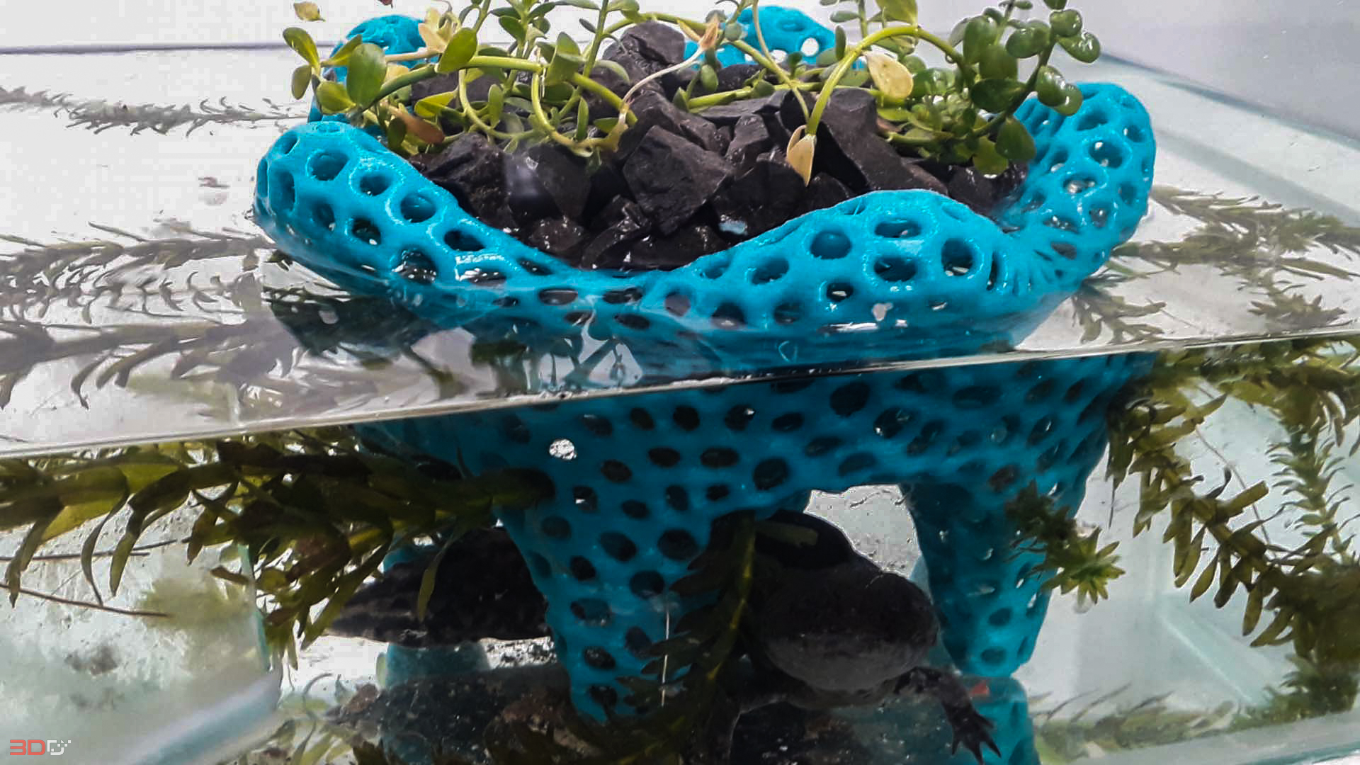 Share Idea ทำอุปกรณ์แต่งตู้ปลา Aquarium จาก 3D Printer | 3DD Digital ...
