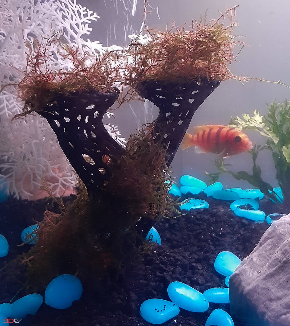 Share Idea ทำอุปกรณ์แต่งตู้ปลา Aquarium จาก 3D Printer | 3DD Digital ...