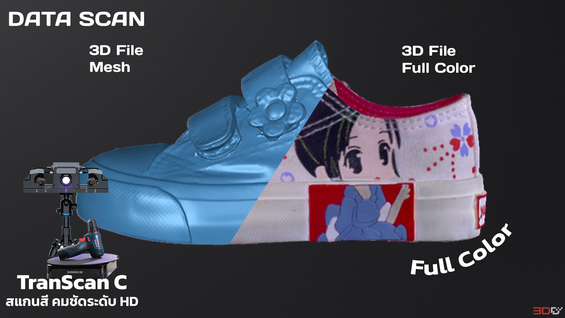 Review : TranScan C 3D Scanner ความละเอียดสูง สแกนเก็บสีได้สวยสดมาก อุปกรณ์จัดเต็มไม่ต้องซื้อ ...