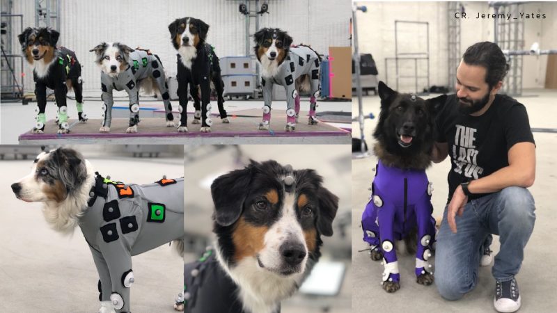 ‘Mocap’กับประสบการณ์สมจริงในวงการเกม | How Motion Capture Works in Game Development | 3DD ...